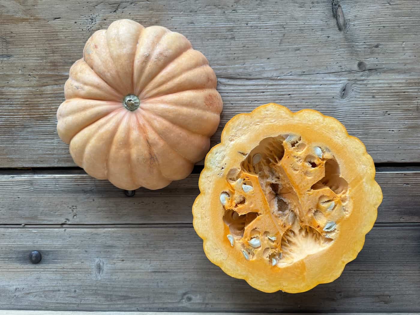 20+ heirloom pumpkins 🍂 🎃 Explore the world of unique shapes and flavors!