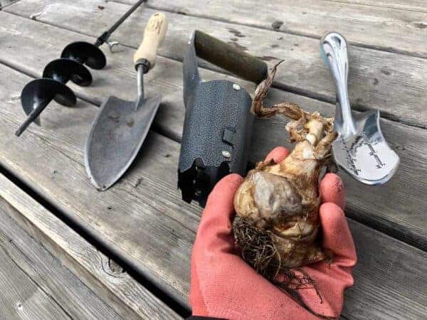 Bulb planters to simplify your gardening 🌷 🌼 Find the perfect tool for ...