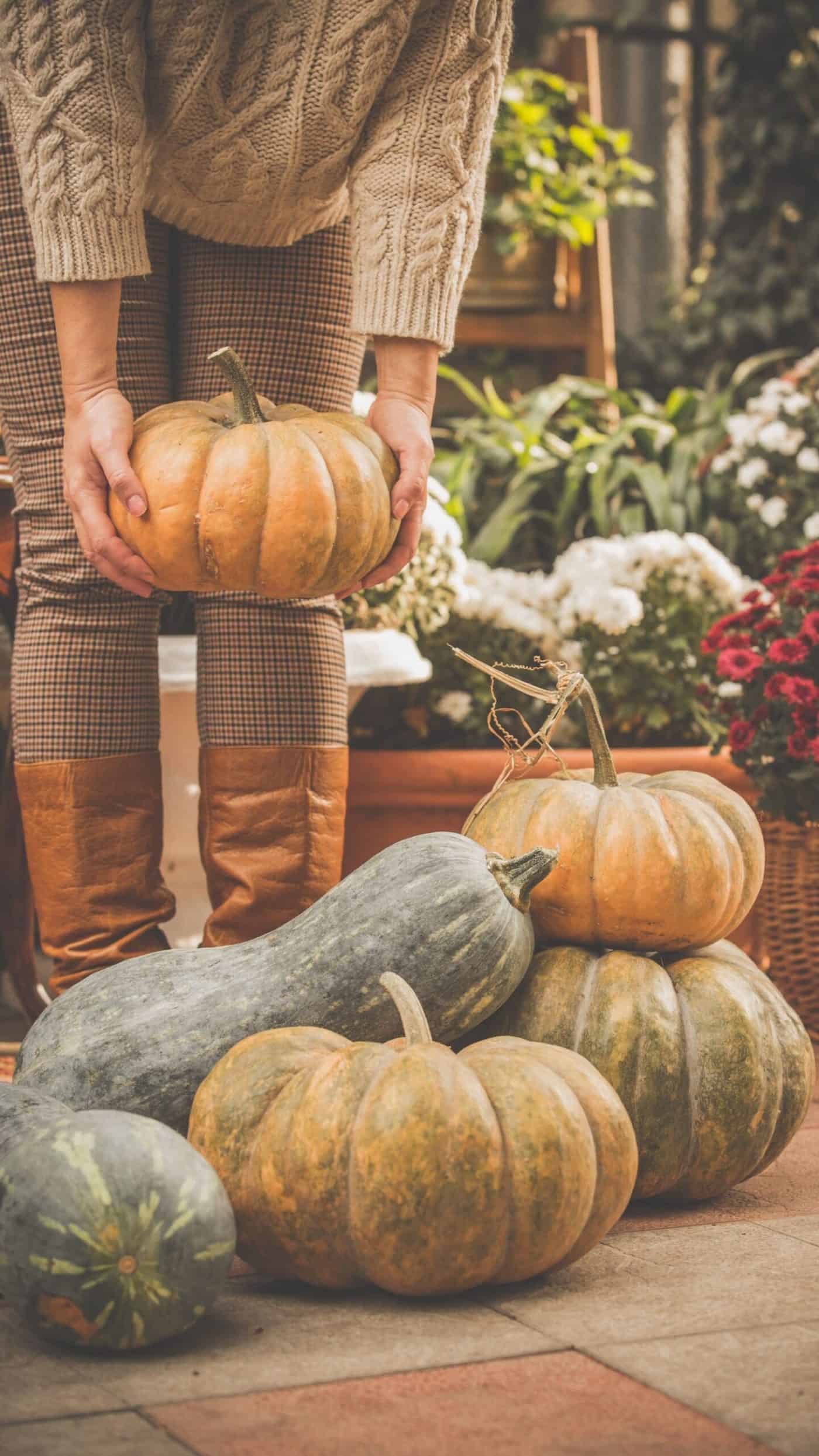 Decorative pumpkins 🎃 🍂 Unleash your creativity this fall!