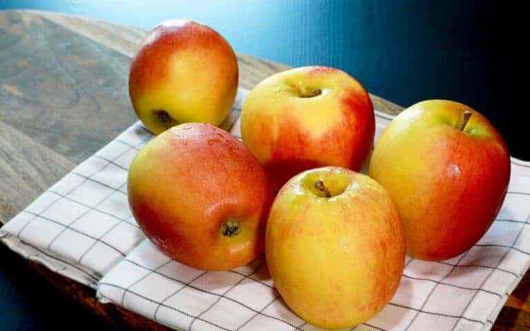 Jazz apple 🍎 🌟 🎵 Learn about its flavor and culinary uses!