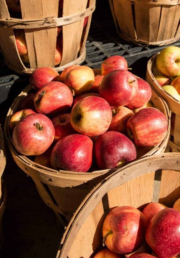 Jonagold apple 🍏 💛 A juicy blend of flavor, texture, and uses!