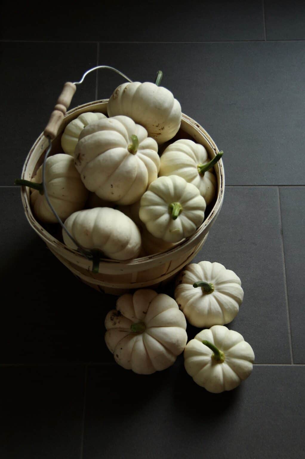 Mini pumpkins 🍂 🎃 BEST varieties to add a touch of autumn to every corner!