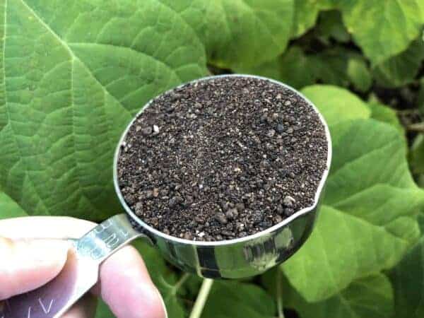 Hydrangea fertilizer for lush blooms 🌿 🌺 Uncover the best options for a ...