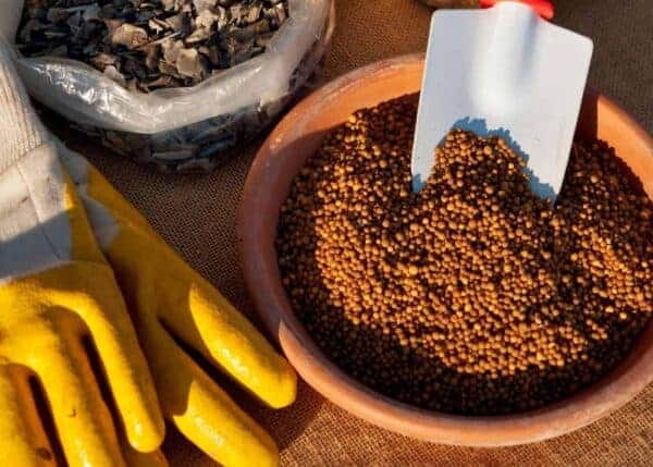 Bulb fertilizer essentials 💡 🌱 Unlock the full potential of your ...