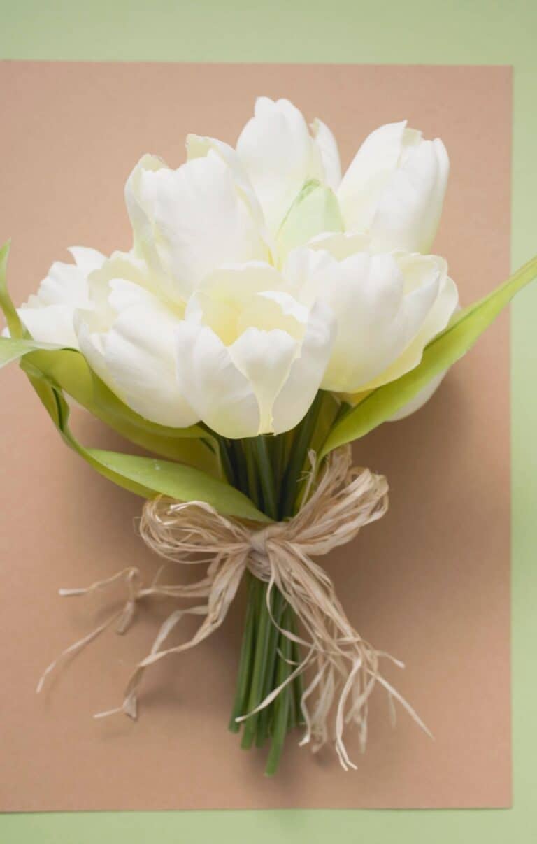 22 white tulips 🤍 🌷 BEST varieties for gardens and bouquets!