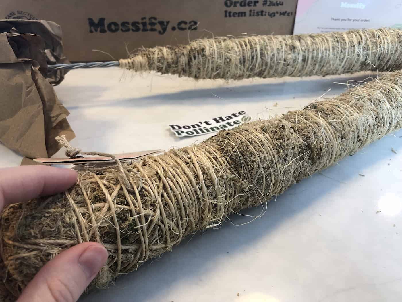 Moss pole essentials for climbing plants 🌱 💡 Learn the benefits and ...