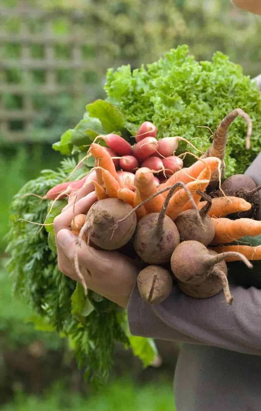 Spring garden planning 🌸 📅 Setting the stage for a vibrant gardening season