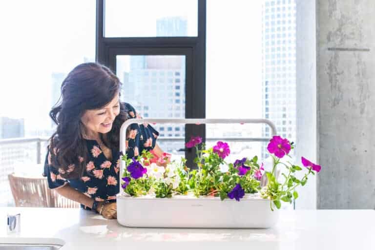 Click and Grow 🌱 🔧 A comprehensive look at the modern way to garden indoors