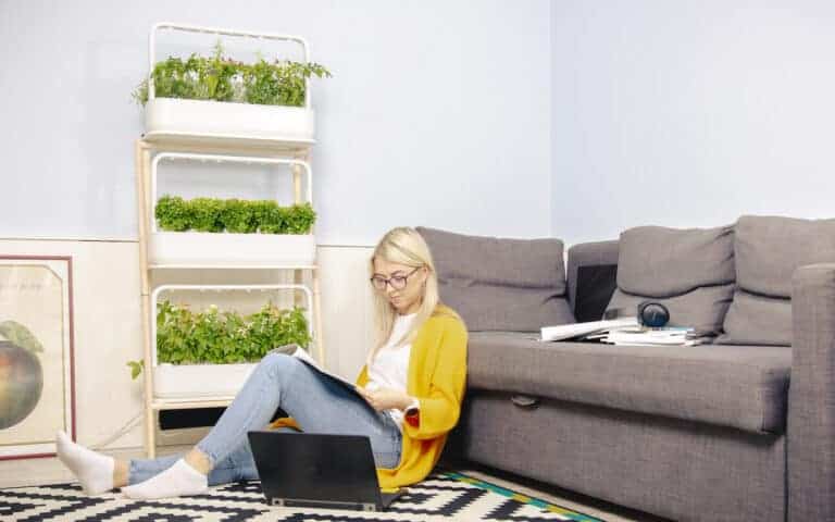 Click and Grow 🌱 🔧 A comprehensive look at the modern way to garden indoors