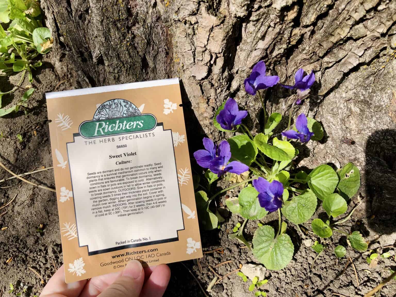 25+ Canadian seed companies 🌾 🇨🇦 Sow the seeds of a lush, vibrant garden