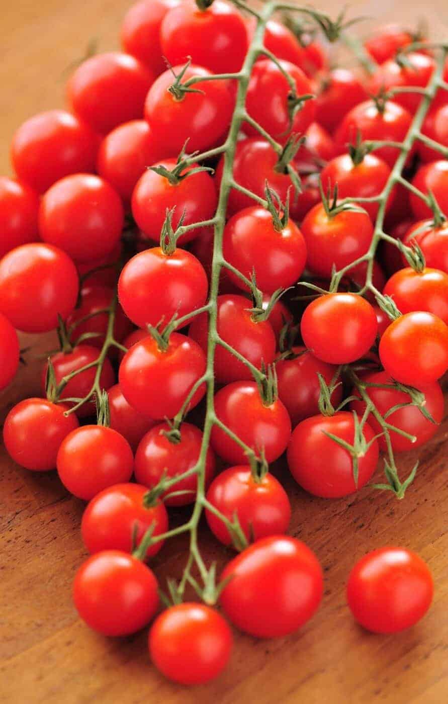 Sweet 100 tomato 🍅 🌱 The cherry tomato bursting with flavor