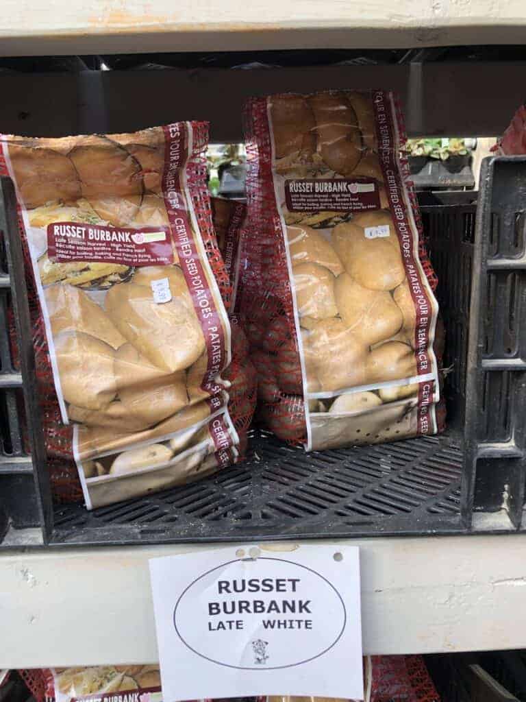 Russet potatoes 🥔 🍴 The classic variety, baked or mashed