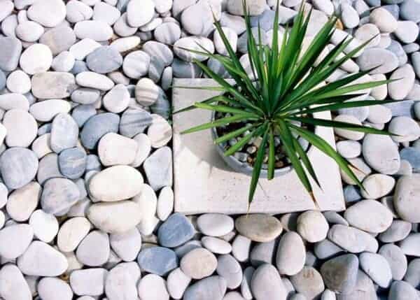 10 modern rock garden ideas 🌿 🪨 Landscaping with contemporary aesthetics