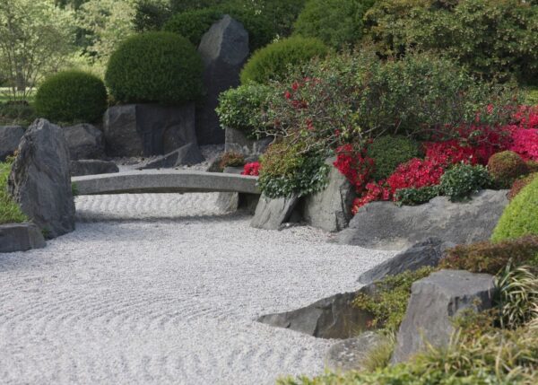 10 modern rock garden ideas 🌿 🪨 Landscaping with contemporary aesthetics