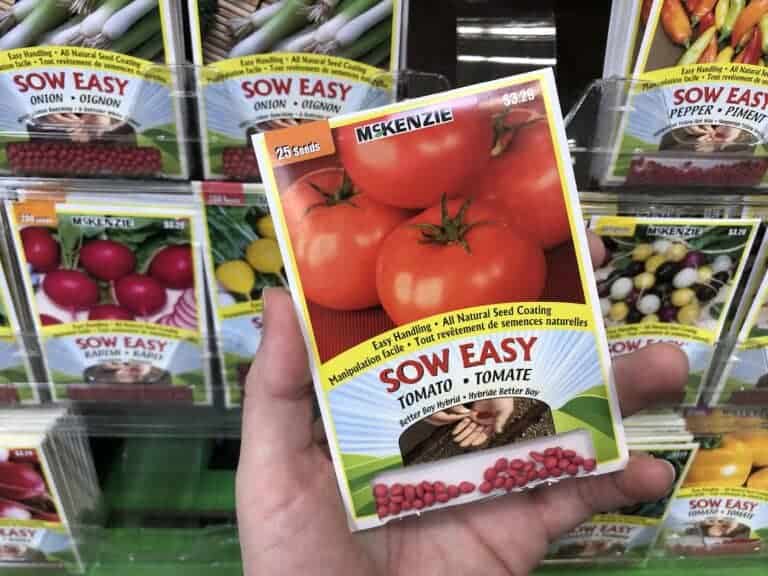 Better Boy tomato 🍅🌟 Consistent yields and great flavor