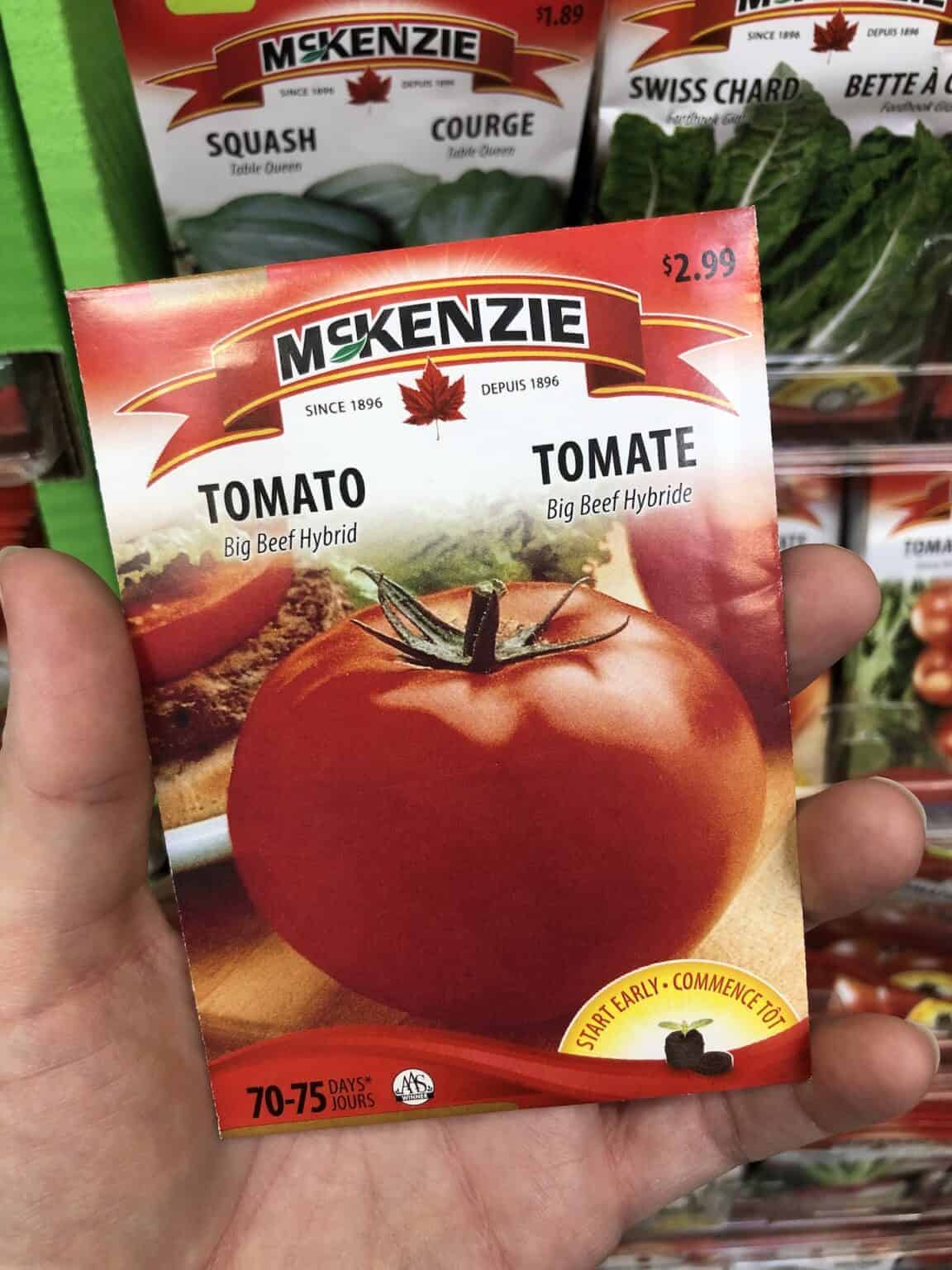 Big beef tomato 🍅 🥩 A heavyweight in flavor and size