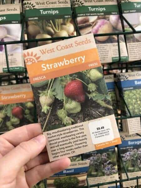 Successful cultivation with strawberry seeds 🍓 🌱 Unveil the secrets to ...