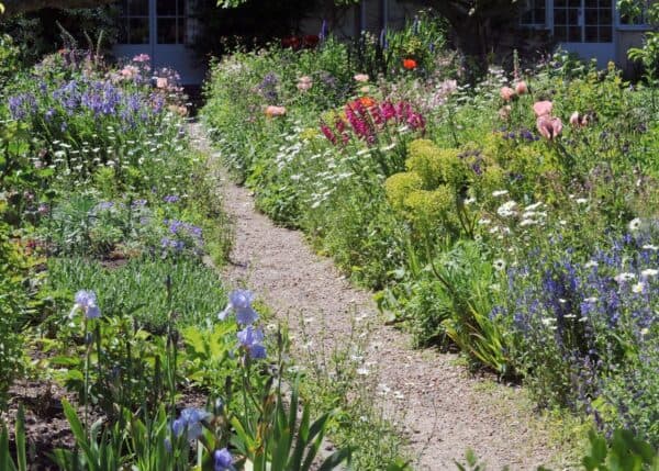 10 wildflower garden ideas 🌼 🌾 Embrace nature's whimsy