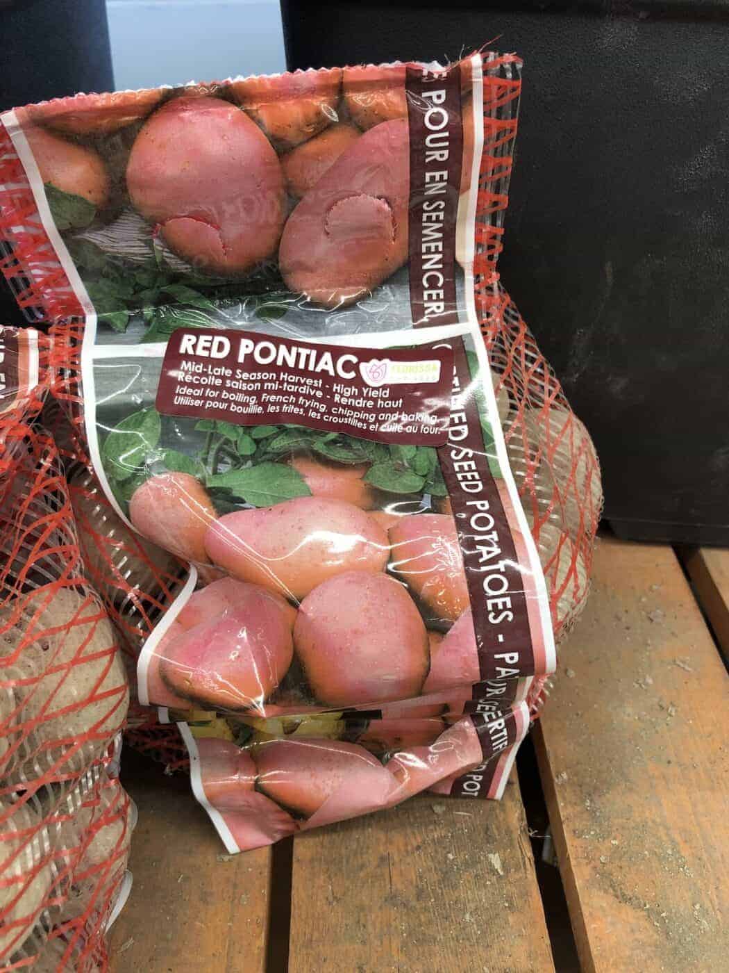 Red Pontiac potatoes 🥔 ️ An all-rounder in the kitchen