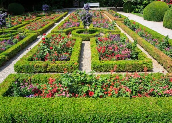 10 rose garden ideas 🌹 💡 Crafting a fragrant oasis of color and elegance