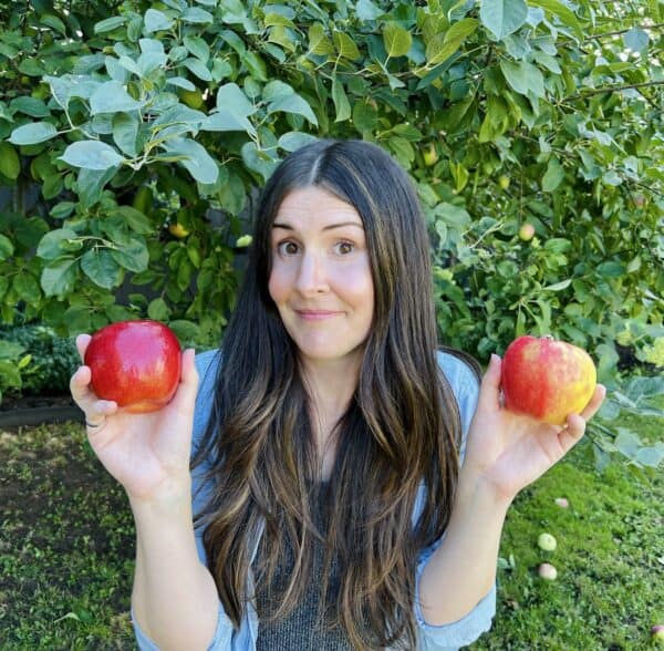 25+ best tasting apples 🍏 🙌 🍎 Discover the TOP varieties