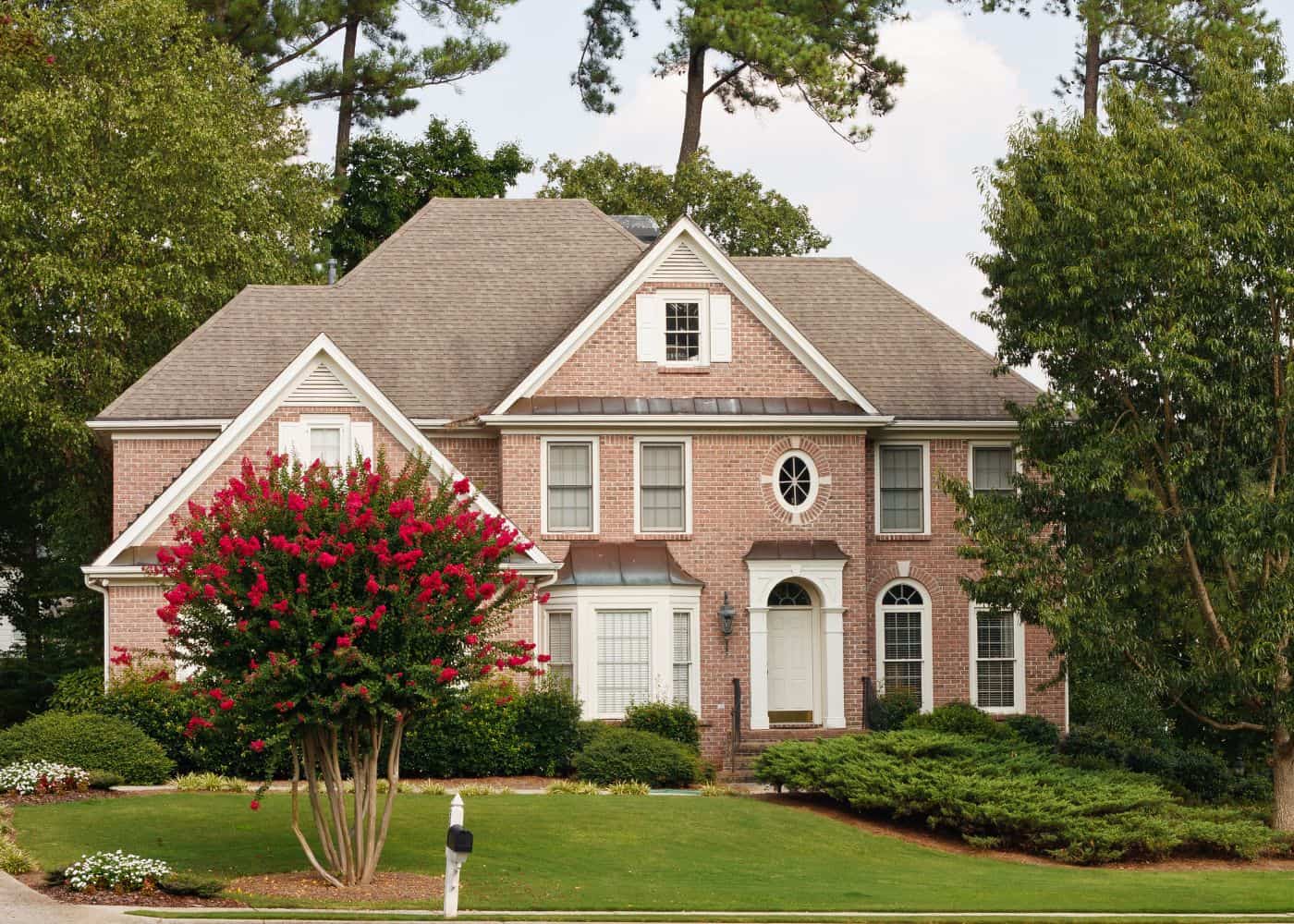 When does a crepe myrtle bloom? 🌸 🗓️ Learn their flowering schedule