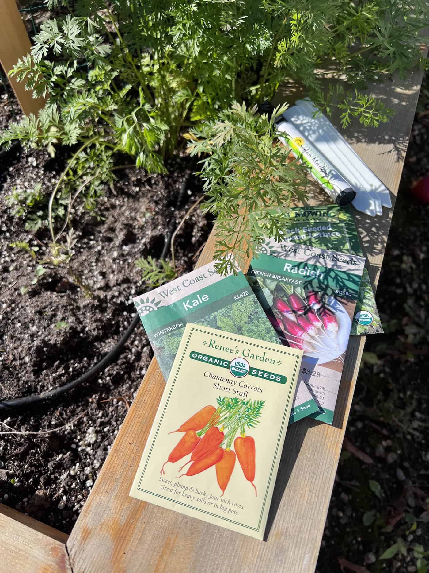 10 fall vegetables to plant 🍂🌱 A guide to autumn gardening delights