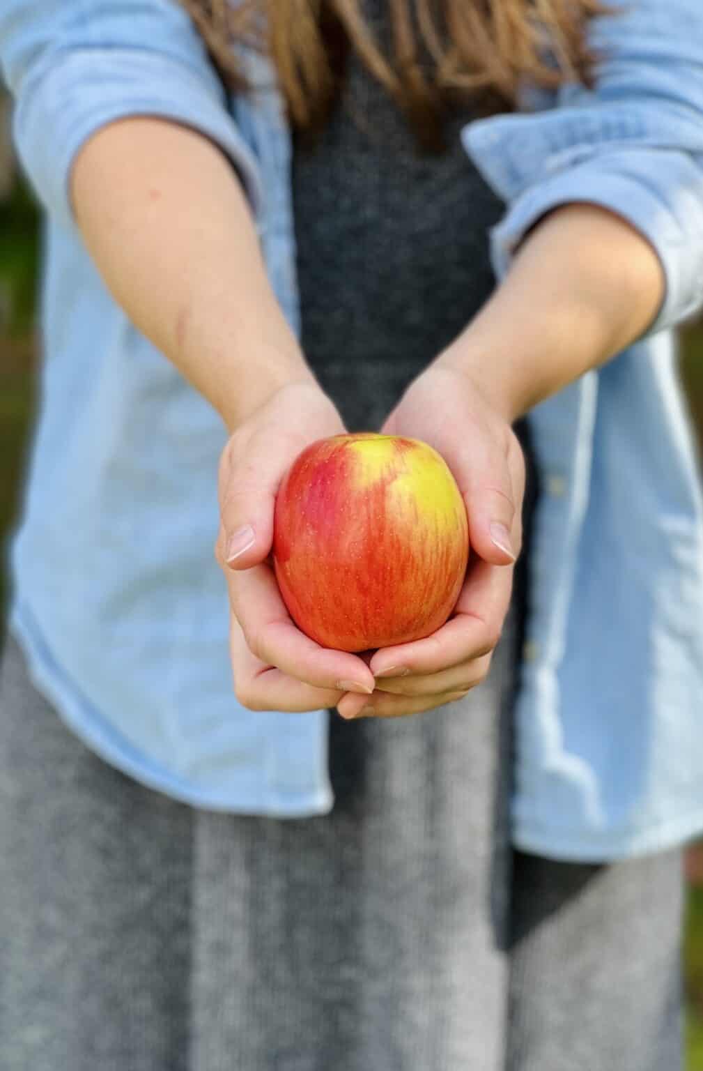 Jazz apple 🍎 🌟 🎵 Learn about its flavor and culinary uses!