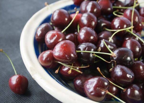 10 types of cherry trees ???? ???? Dive into the world of sweet and ...