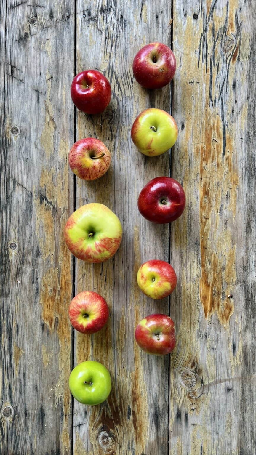 40+ sweetest apples 🍏🍎 Uncover the BEST sugary varieties