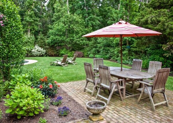 15+ best trees for backyard 🌳🍃 Choices for shade, privacy, and beauty