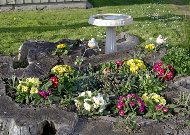 15 flower garden ideas 🌼 🌸 Cultivate a blooming paradise in your backyard