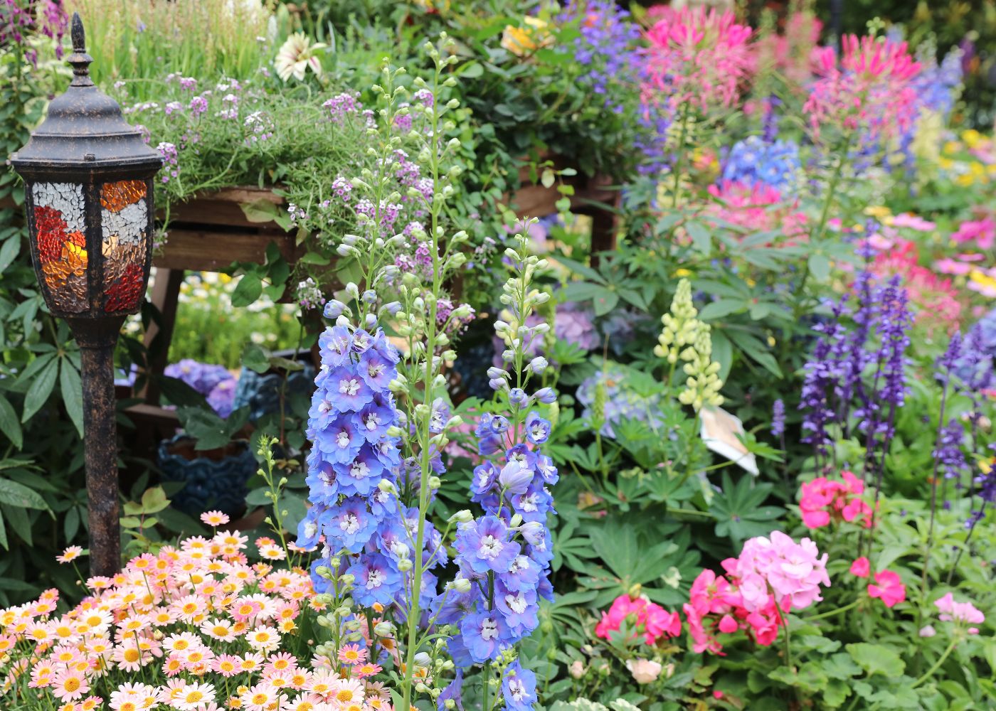 What is a perennial plant? 🌱 🔄 The nature of long-lasting greenery