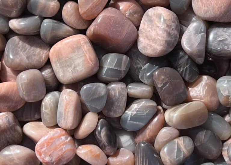 15 rock garden ideas 🌱 🪨 Transforming spaces with stones and plants