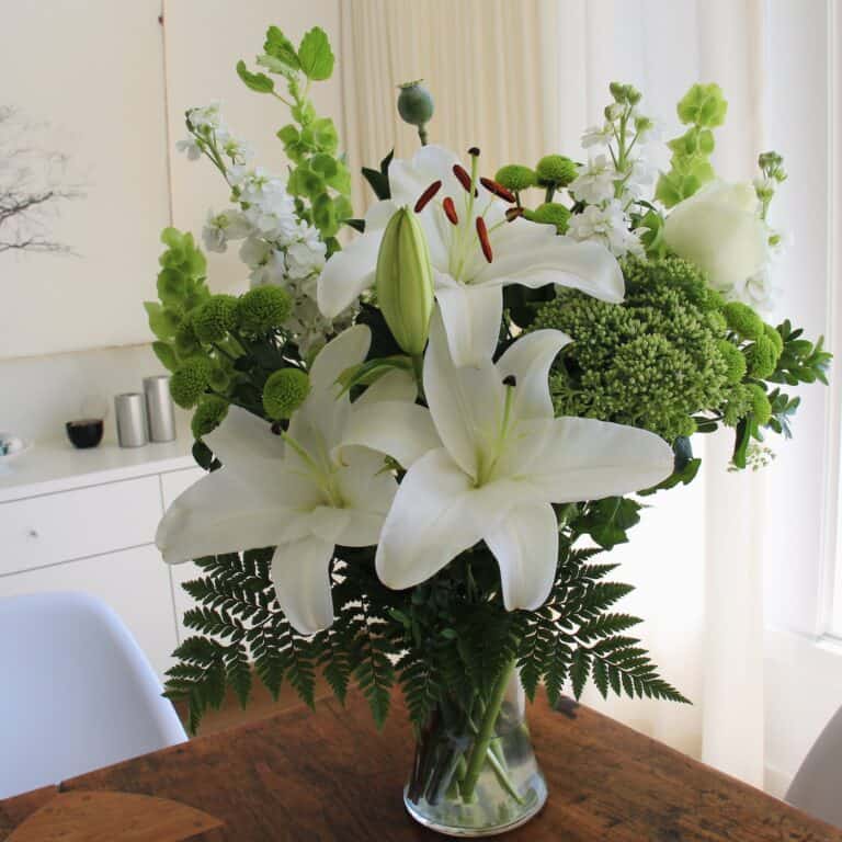 How to grow lilies 🌷🌿 From bulbs to blooms (step-by-step)