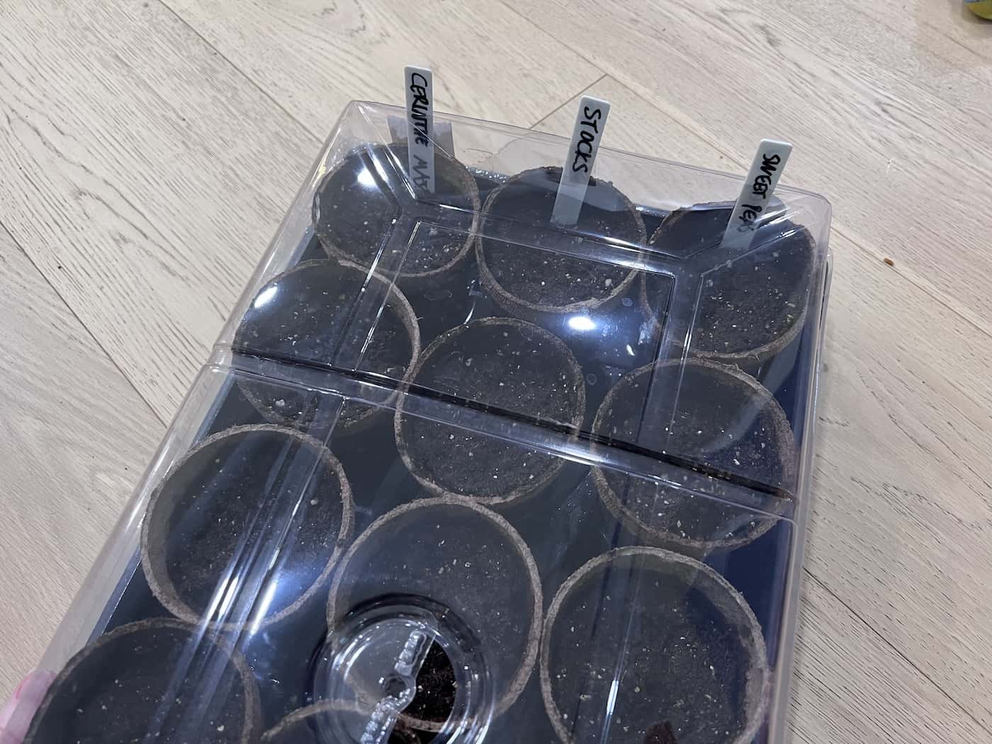 Winter sowing containers ️ 🌱 Picking the best for seed germination