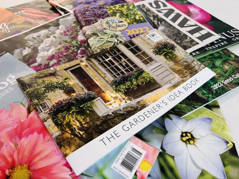 Garden catalogs 📖 🌼 The ultimate guide to the best resources for gardeners