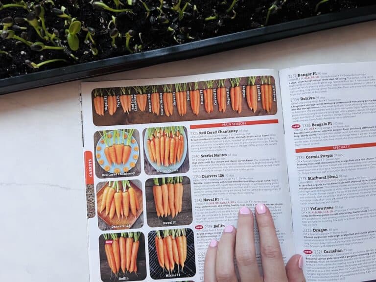 Garden catalogs 📖 🌼 The ultimate guide to the best resources for gardeners