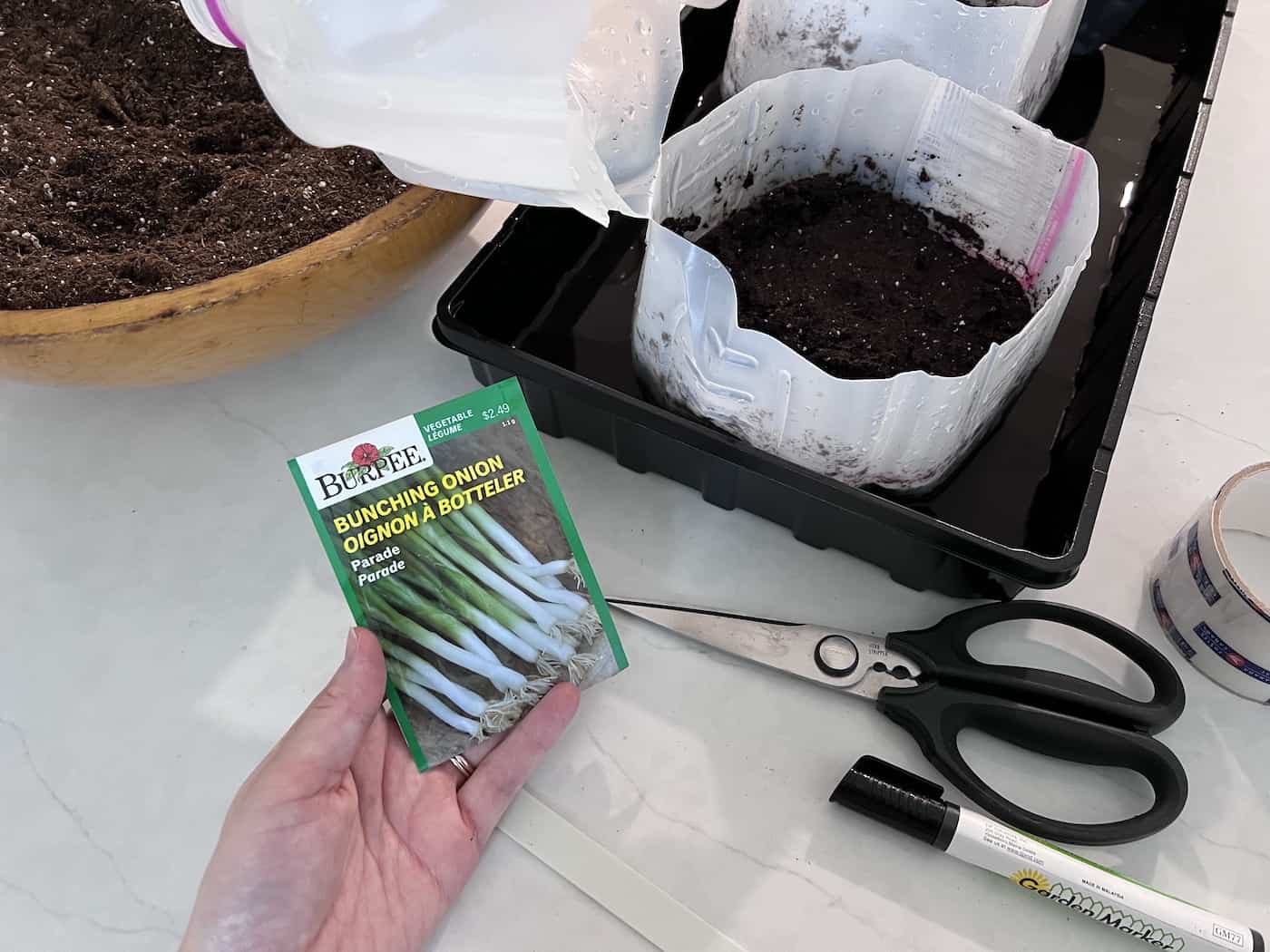 Winter sowing containers ️ 🌱 Picking the best for seed germination