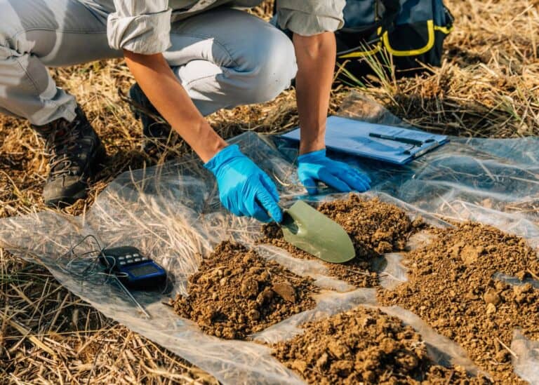 Best soil thermometers 🌡️ 🌱 Essential tools for your garden's success