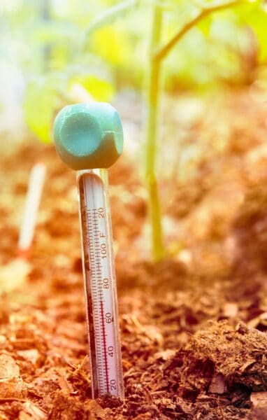 Best soil thermometers 🌡️ 🌱 Essential tools for your garden's success
