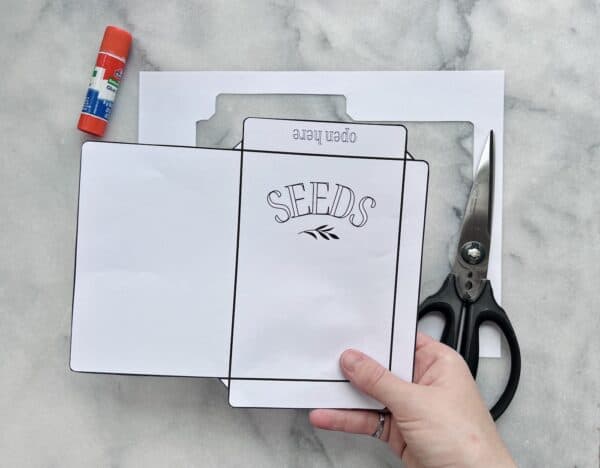 Seed packet template 🌱 🖨️ Printable PDF and instructions