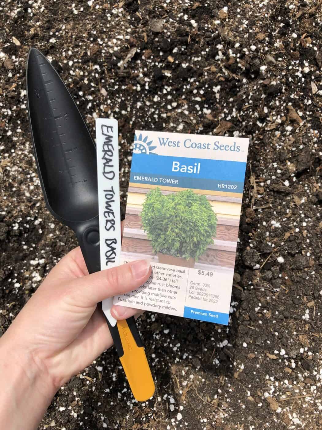 Direct sowing seeds 🌱 🌼 A beginner's guide to planting outdoors