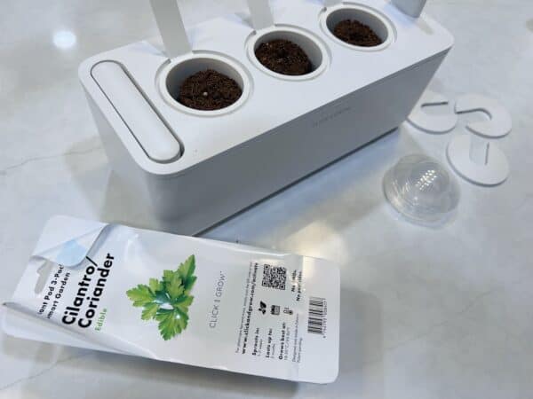 Click and Grow cilantro 🌱 A modern approach to classic herb gardening
