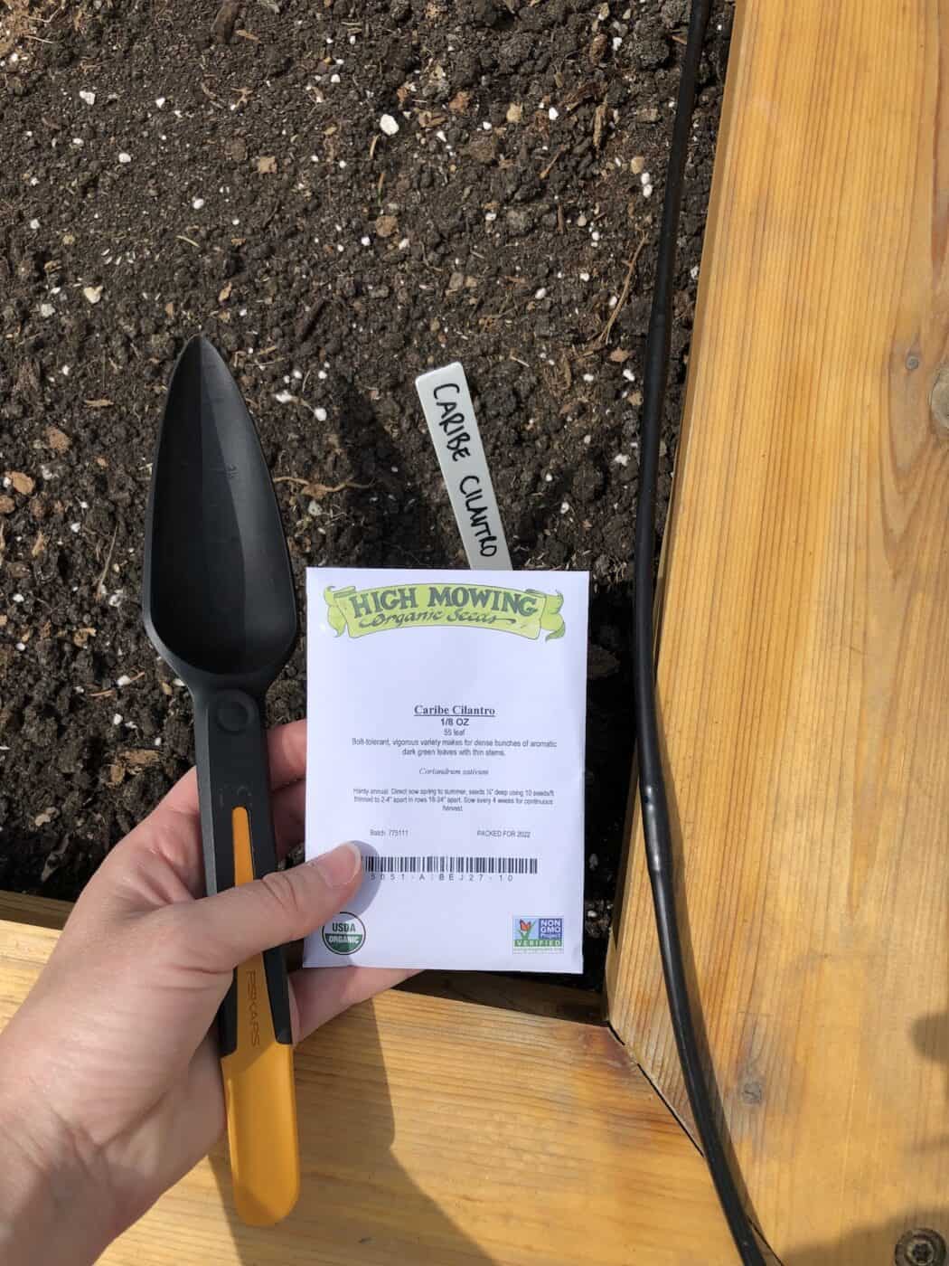 Direct sowing seeds 🌱 🌼 A beginner's guide to planting outdoors