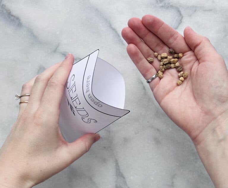 Seed packet template 🌱 🖨️ Printable PDF and instructions