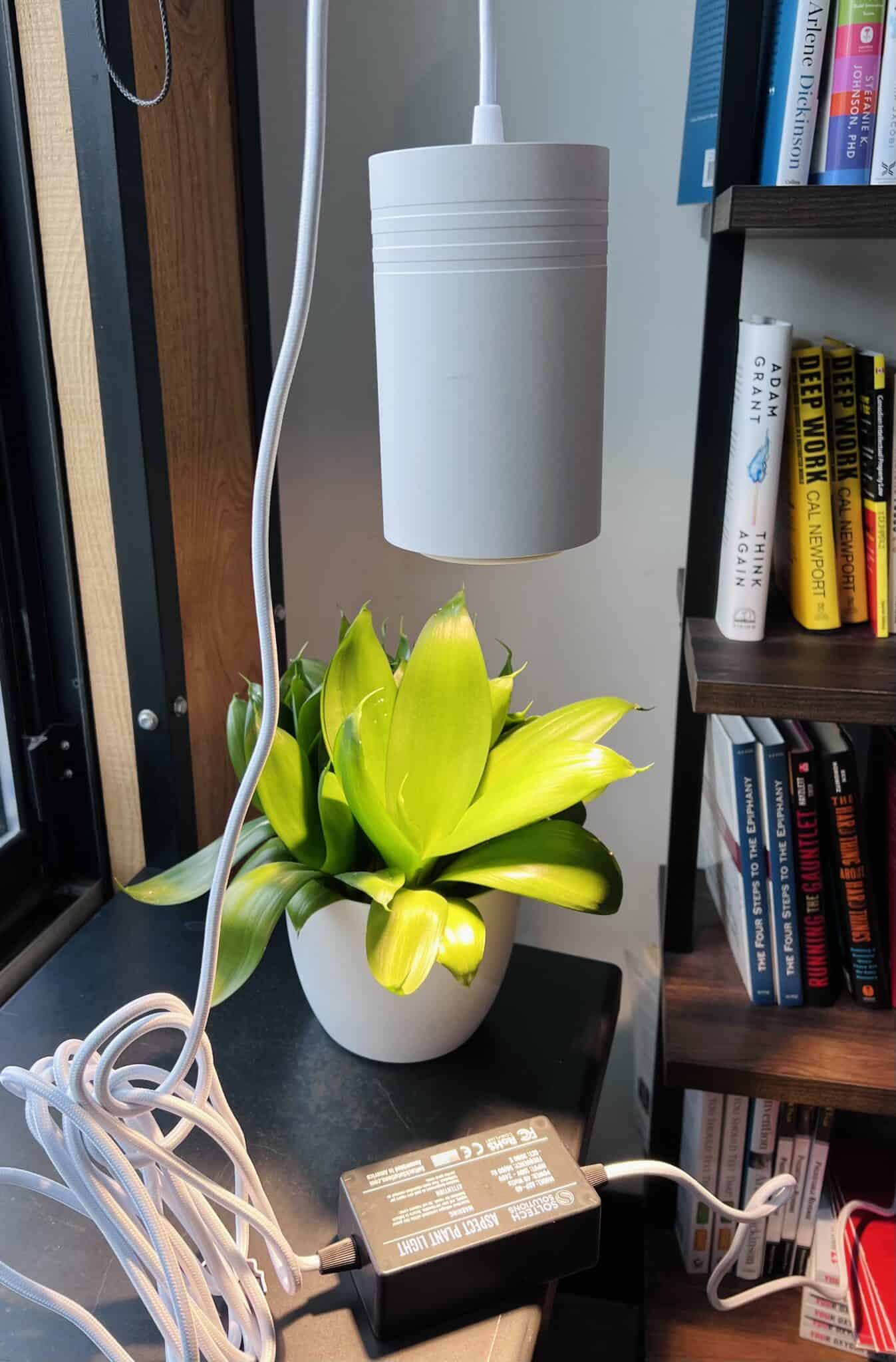 Pendant grow light 🌱 💡 chic solutions for indoor gardening