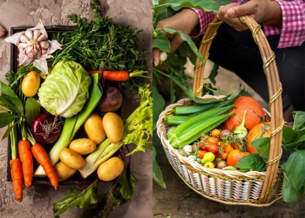 Cool season vs warm season vegetables ☀️ ️ Plant right for every climate