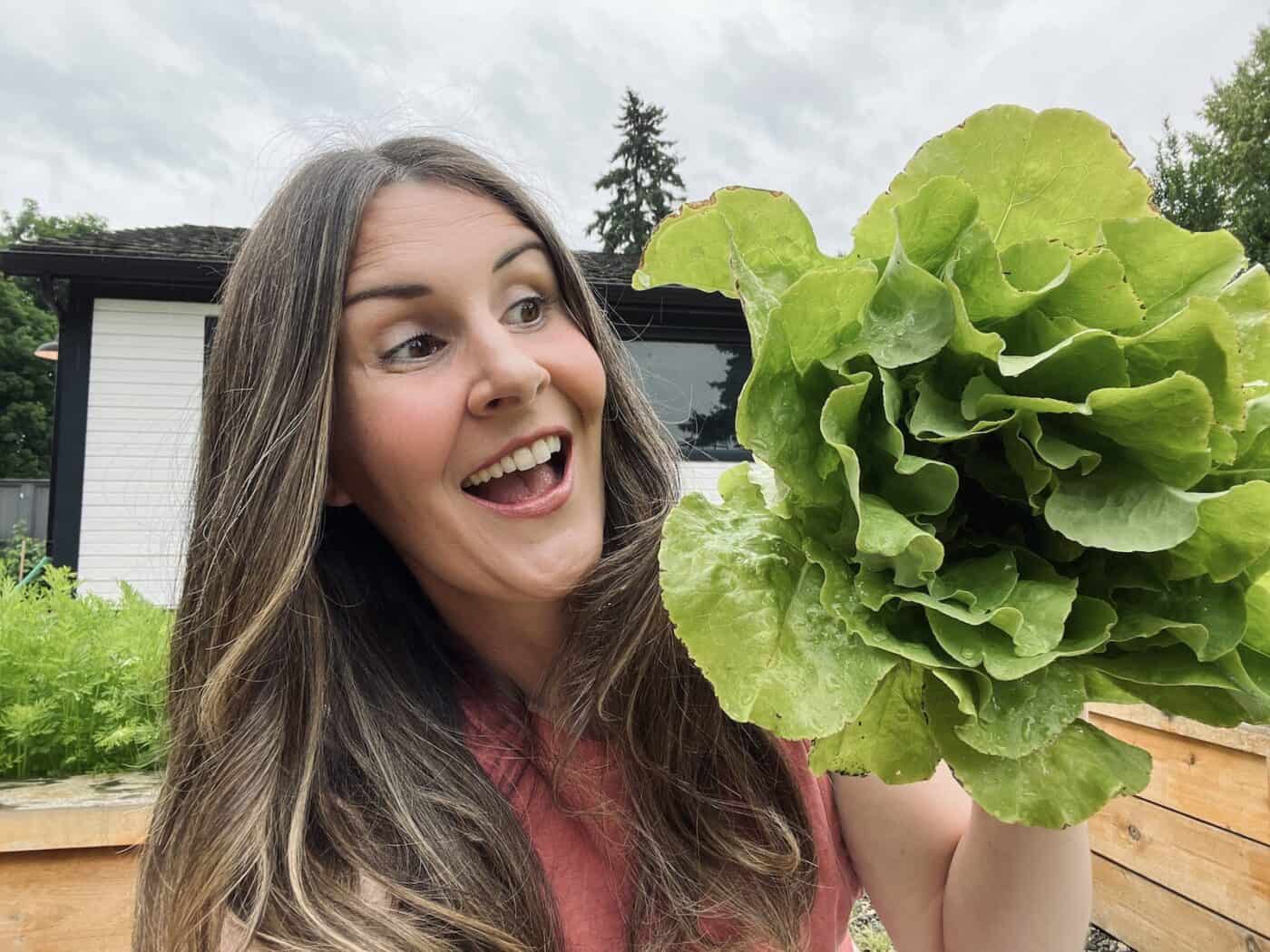 20 cool season vegetables 🌱 ️ Boost your garden's off-peak production