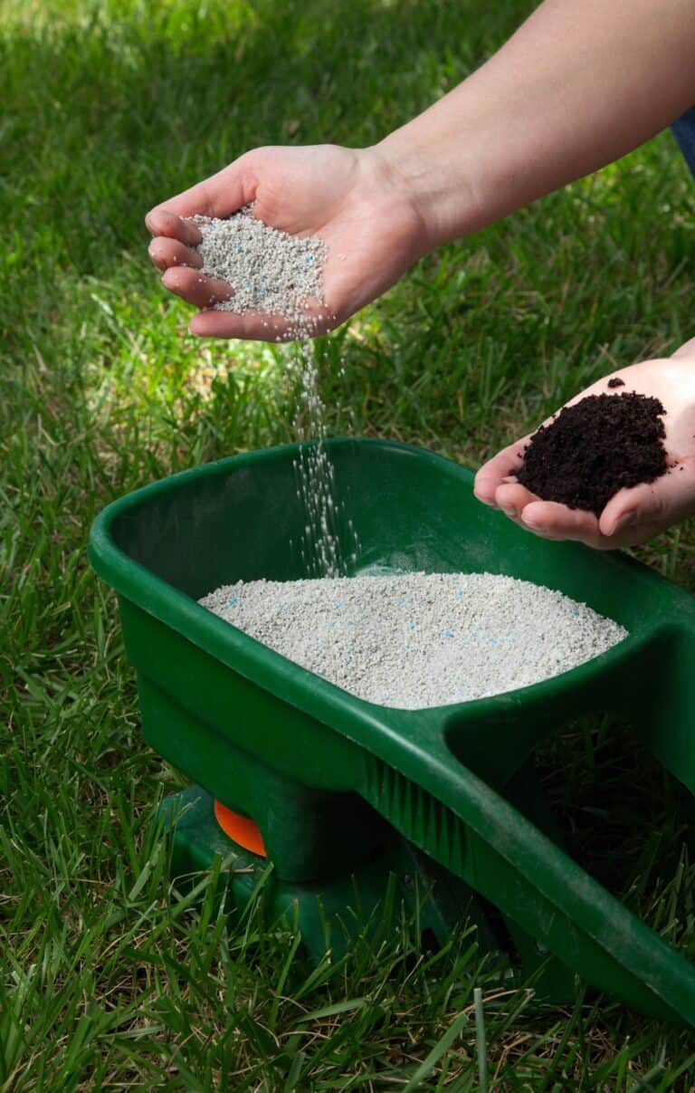 What is NPK in fertilizer? 🌿 🔍 A must-know for gardeners